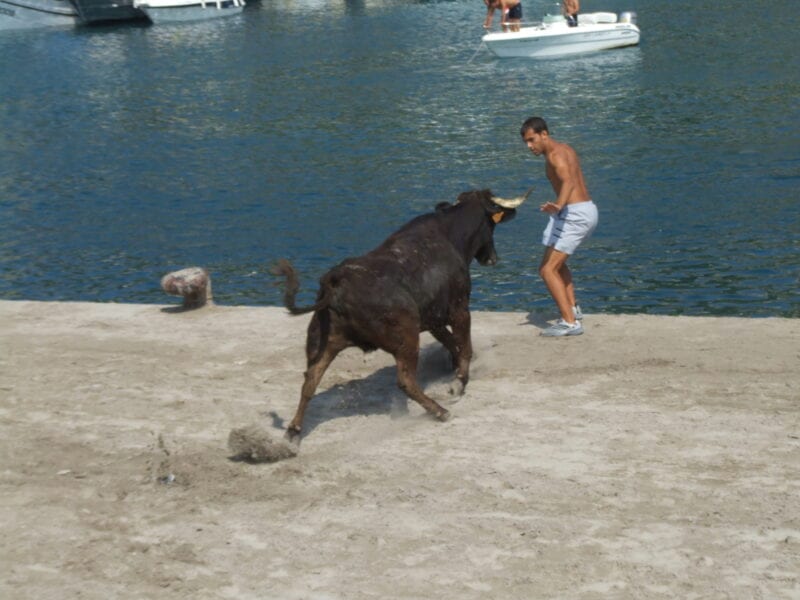 Festivals on the Costa Blanca: 365 Days of Fiestas in the Sun